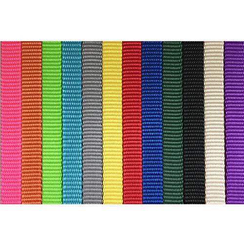 Puppy ID Collar Identification Soft Nylon Adjustable Breakaway Safety Whelping Litter Collars for Newborn Pets with Record Keeping Charts 12pcs/Set (S)