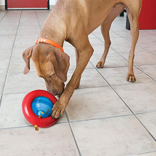 KONG - Gyro - Interactive Treat Dispensing Dog Toy - for Small Dogs
