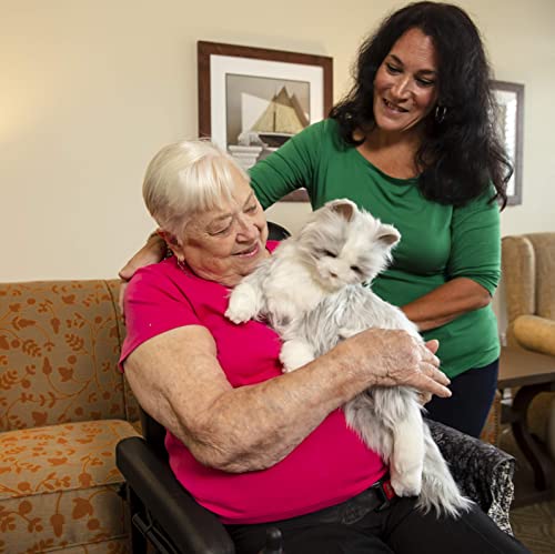 Joy for All - Silver Cat with White Mitts - Interactive Companion Pets - Realistic & Lifelike