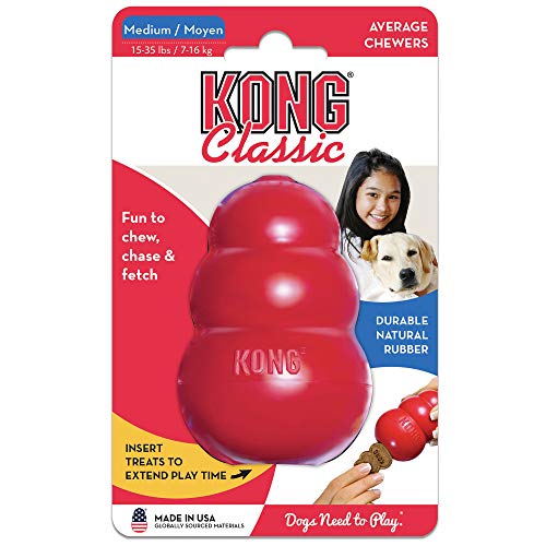KONG - Classic and Wild Knots Bear - Dog Chew Toy and Stuffed Dog Rope Toy - for Medium Dogs