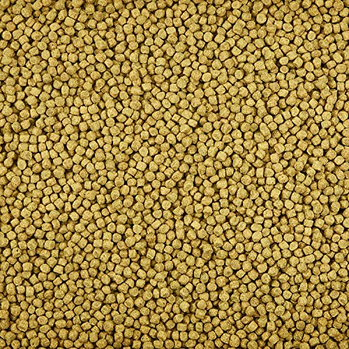 Kaytee Koi's Choice Koi Floating Fish Food, 10 Pound
