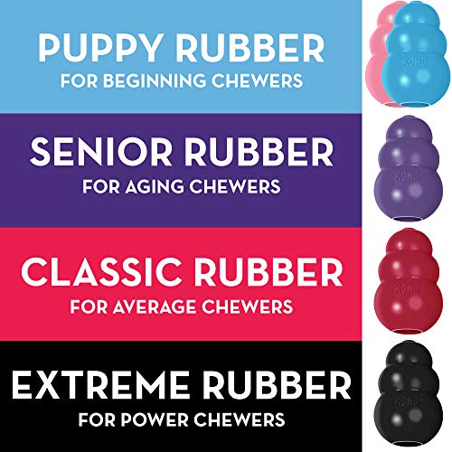 KONG - Classic and Wild Knots Bear - Dog Chew Toy and Stuffed Dog Rope Toy - for Medium Dogs