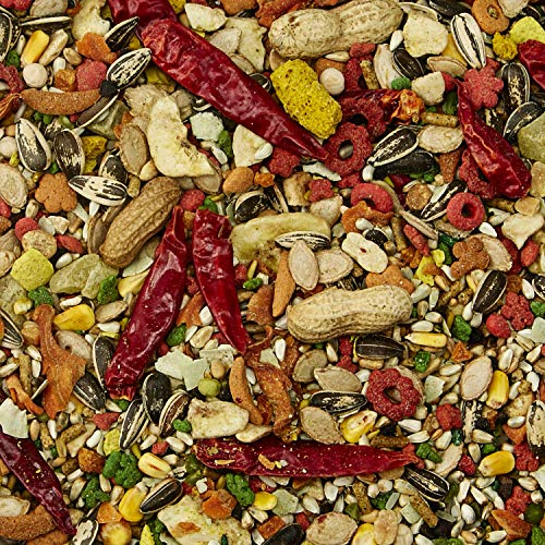 Kaytee Fiesta Big Bites Food For Small Pet Parrots And Conures, 4 Pound