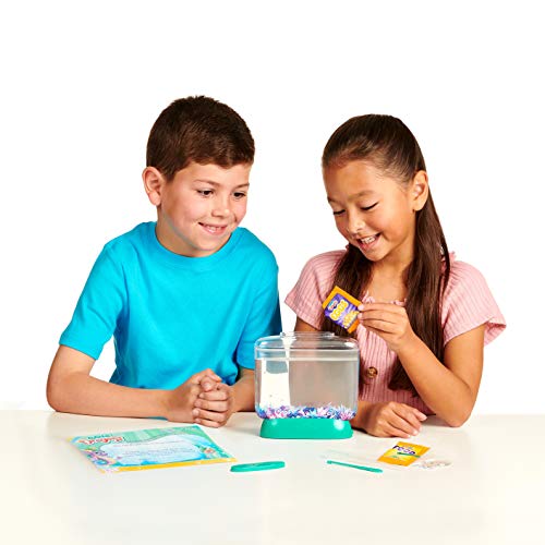 Little Live Aqua Dragons - Deep Sea Habitat - LED Light Up Tank Hatch and Grow Aquatic Pets