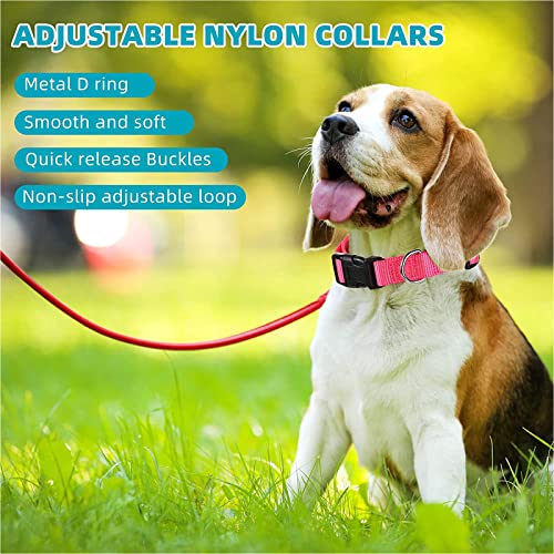 VIWIK Dog Collar with Safety Locking Buckle, Adjustable Durable Pet Collars for Small Medium Dogs, Heavy Duty Basic Collar Nylon Pet Collar, Teal-M