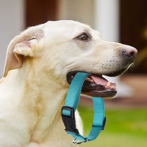 VIWIK Dog Collar with Safety Locking Buckle, Adjustable Durable Pet Collars for Small Medium Dogs, Heavy Duty Basic Collar Nylon Pet Collar, Teal-M