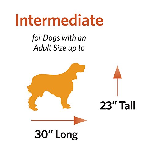 Dog Crate | MidWest Life Stages 36" Double Door Folding Metal Dog Crate | Divider Panel, Floor Protecting Feet, Leak-Proof Dog Pan | 36L x 23W x 25H Inches, Intermediate Dog Breed