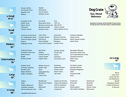 Dog Crate | MidWest Life Stages 36" Double Door Folding Metal Dog Crate | Divider Panel, Floor Protecting Feet, Leak-Proof Dog Pan | 36L x 23W x 25H Inches, Intermediate Dog Breed