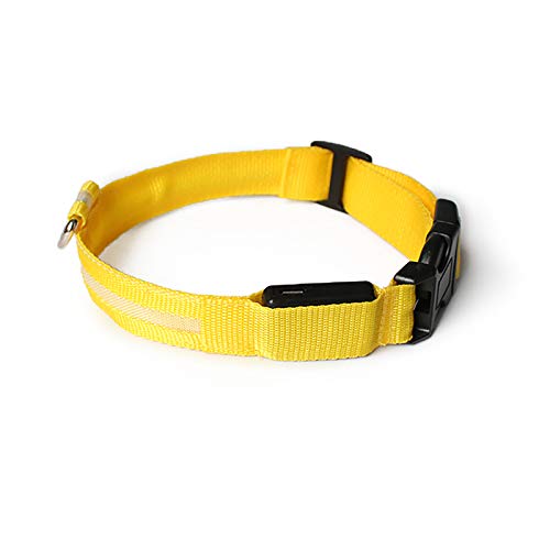 Dog Collar for Small Medium Large Dogs Comfy Puppy Collars Adjustable Dog Collars for Girl and Boy Pet