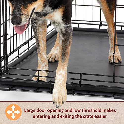 Dog Crate | MidWest Life Stages 36" Double Door Folding Metal Dog Crate | Divider Panel, Floor Protecting Feet, Leak-Proof Dog Pan | 36L x 23W x 25H Inches, Intermediate Dog Breed