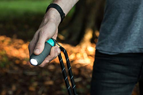 KONG HandiPOD - Mini Flashlight Dispenser - Dog Waste and Small-Sized Poop Bag Dispenser with Built-in Flashlight - Includes Leash Clip - Light Grey - Small