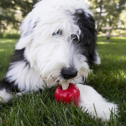 KONG Stuff'N Ziggies Large Dog Treat, 8-Ounce (Pack of 3)