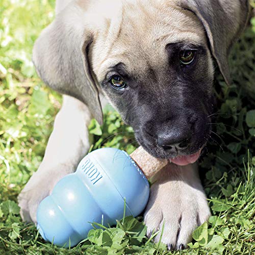 KONG - Dog Treat Combo - Easy Treat, Snacks and Ziggies - Puppy Treats for Medium/Large Puppies