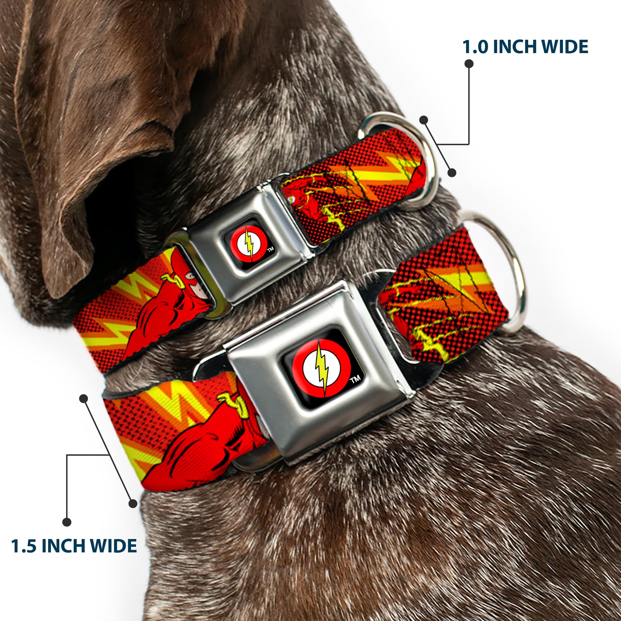 Buckle-Down Dog Collar Seatbelt Buckle The Flash Boom Kaboom, Multi Color, 1.5" Wide - Fits 16-23" Neck - Medium (DC-WFL003-WM)