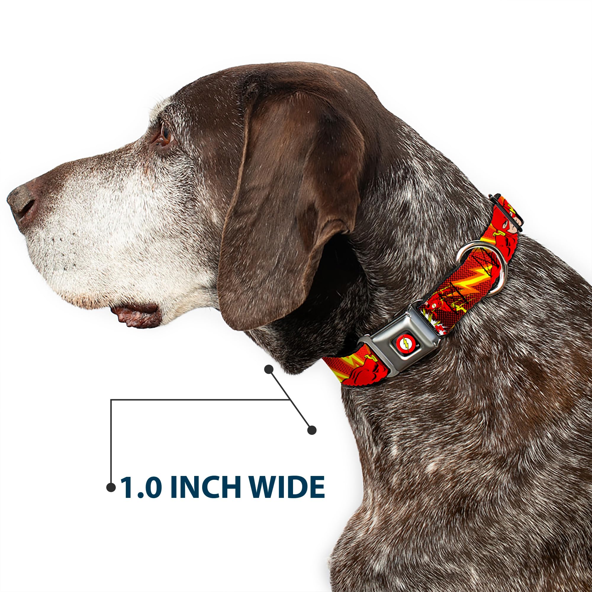 Buckle-Down Dog Collar Seatbelt Buckle The Flash Boom Kaboom, Multi Color, 1.5" Wide - Fits 16-23" Neck - Medium (DC-WFL003-WM)
