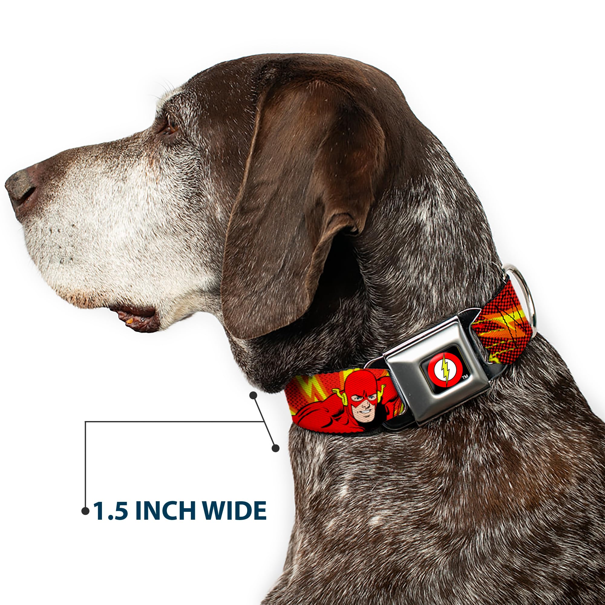 Buckle-Down Dog Collar Seatbelt Buckle The Flash Boom Kaboom, Multi Color, 1.5" Wide - Fits 16-23" Neck - Medium (DC-WFL003-WM)