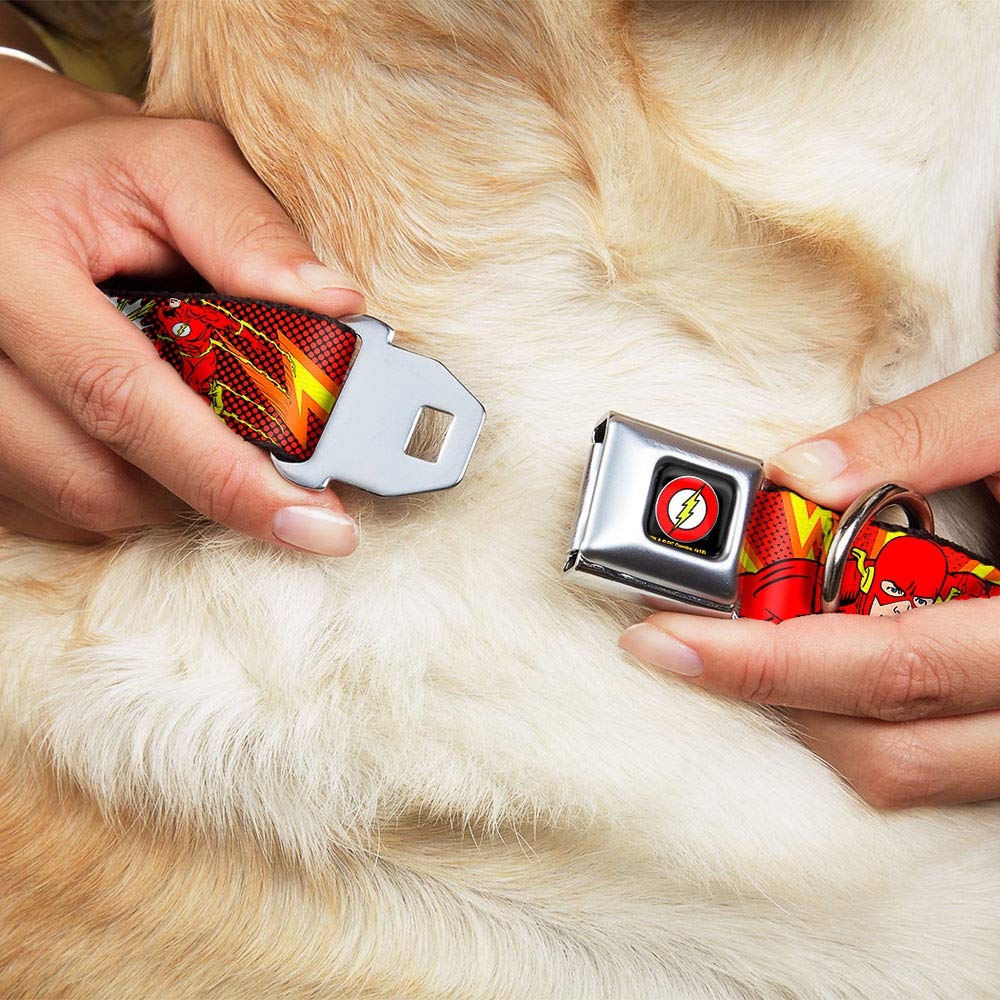Buckle-Down Dog Collar Seatbelt Buckle The Flash Boom Kaboom, Multi Color, 1.5" Wide - Fits 16-23" Neck - Medium (DC-WFL003-WM)