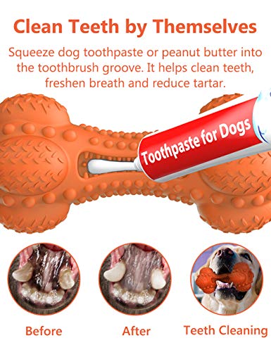 SCHITEC Squeaky Dog Chew Toy, Tough Durable Natural Rubber Bone with Toothbrush, Indestructible for Aggressive Chewers Large Medium Breed Teeth Cleaning