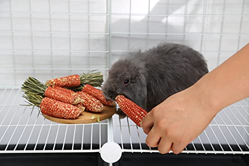 PStarDMoon Natural Guinea Pig Chew Toy, Dried Corn Sticks with Timothy Hay, Molar Toys for Bunnies Rabbits Chinchilla Hamsters Guinea Pigs Gerbils Groundhog Squirrels (5 PCS )