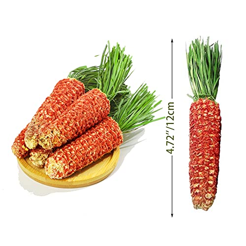 PStarDMoon Natural Guinea Pig Chew Toy, Dried Corn Sticks with Timothy Hay, Molar Toys for Bunnies Rabbits Chinchilla Hamsters Guinea Pigs Gerbils Groundhog Squirrels (5 PCS )