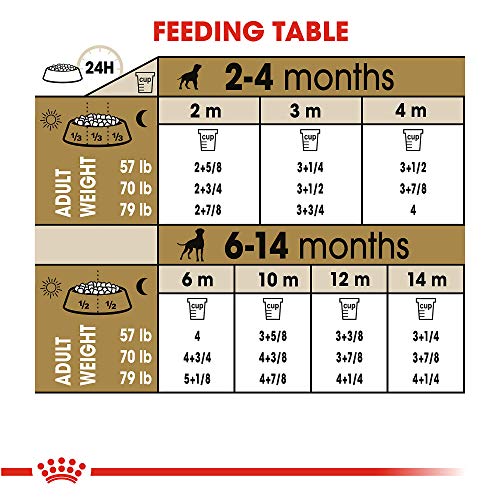 Royal Canin Breed Health Nutrition Boxer Puppy Dry Dog Food, 30 lb