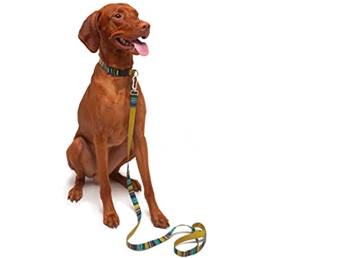 Seawoof Large Dog Collar - Recycled Plastic Comfortable Webbing Breathable Dog Training Tool - Green Stripe - Large