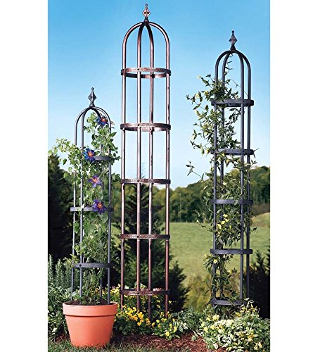 Plow & Hearth Metal Garden Obelisk | Indoor/Outdoor | Powder-Coated Steel | Trellis for Climbing | Floral Pattern | 11" Dia. x 8'H | Bronze