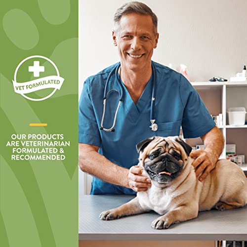 NaturVet - No Scoot for Dogs - 120 Soft Chews - Plus Pumpkin - Supports Healthy Anal Gland & Bowel Function - Enhanced with Beet Pulp & Psyllium Husk