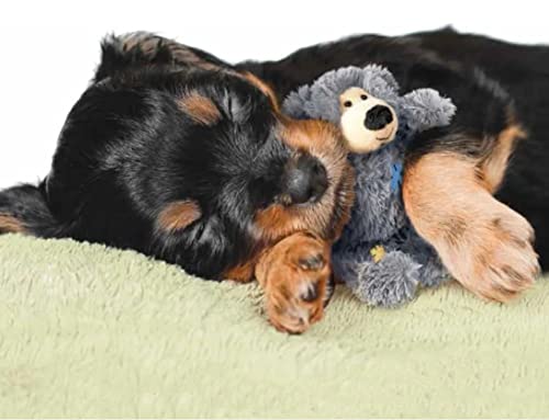 Kong Wild Knots Bears Durable Dog Toys Size:Small/Med Pack of 2 Small Breeds