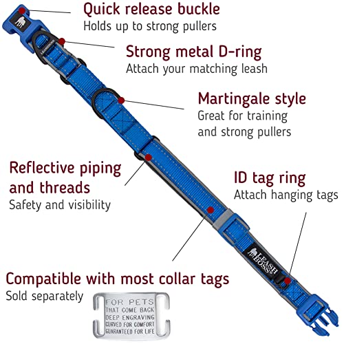 Leashboss Reflective Martingale Collar and 6 Ft Leash with Padded Handle, Medium Collar 14.5-17" Neck, Blue