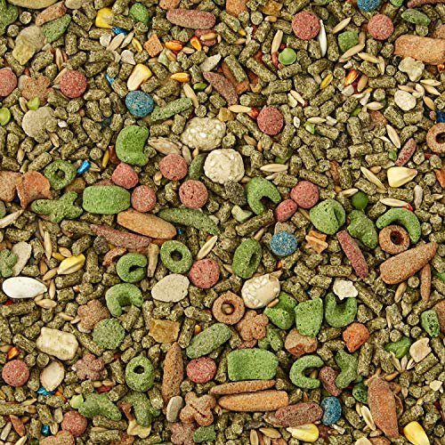 Kaytee Fiesta Pet Guinea Pig Food, 4.5 Pound