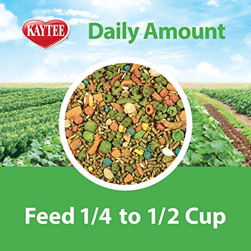 Kaytee Fiesta Pet Guinea Pig Food, 4.5 Pound