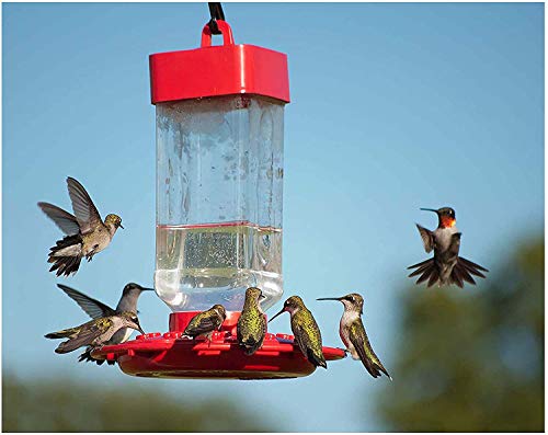 Kaytee Hummingbird Electro Nectar Ready to Use, 64oz (2 case(64oz))