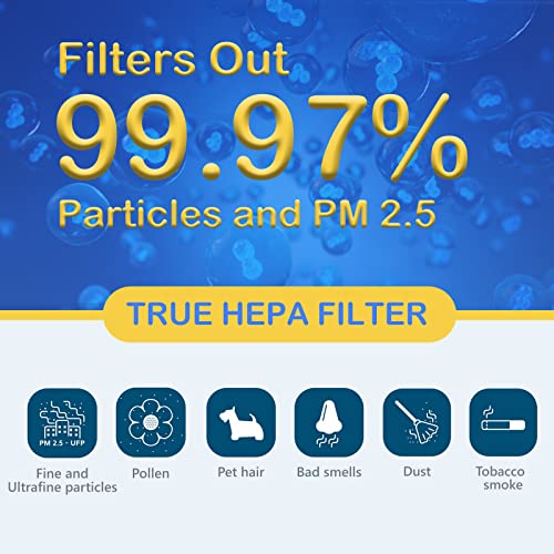 C545 True HEPA Replacement Filter S Compatible with Winix C545, B151, P150, 9300 Air Cleaner Purifier, Replaces Winix Filter S 1712-0096-00 and 2522-0058-00, 4 Pack H13 Filters