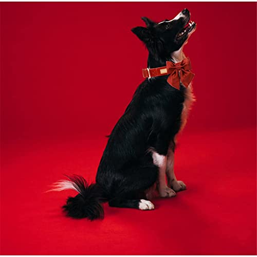 DHDM Red Silk Dog Collar Puppy Collar with Bowtie Adjustable Dog Collar Pet Gift for Small Medium Large (Size : M)