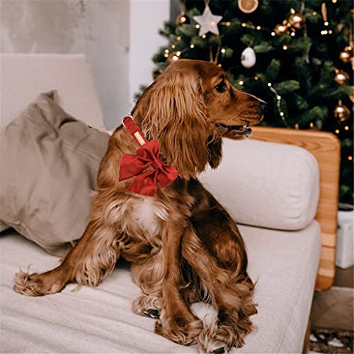 DHDM Red Silk Dog Collar Puppy Collar with Bowtie Adjustable Dog Collar Pet Gift for Small Medium Large (Size : M)