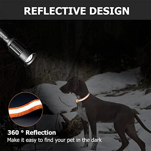 Airtag Dog Collar, Toirneach Adjustable Reflective Dog Collars with AirTag Holder Waterproof Integrated Silicone AirTag Cat Collar Holderwith Bell and Breakaway Buckle Width 0.6 inches