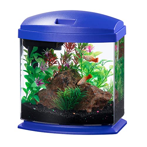 Aqueon 00800197: Aquarium Kit Mini Bow Led Blue 1G