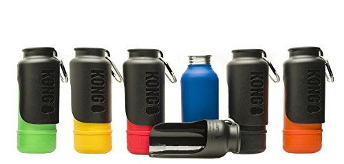 KONG H2O KGK925 Stainless Steel Water Bottle 700ml, One Size