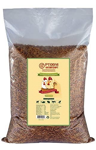 Hatortempt 10lbs Bulk Non-GMO Dried Mealworms for Reptile, Tortoise, Amphibian, Lizard, Wild Birds, Chickens, Duck, Poultry etc