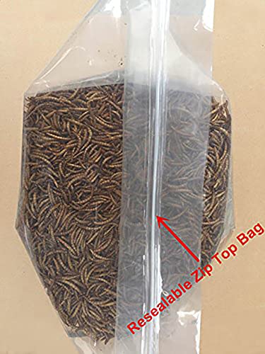 Hatortempt 10lbs Bulk Non-GMO Dried Mealworms for Reptile, Tortoise, Amphibian, Lizard, Wild Birds, Chickens, Duck, Poultry etc