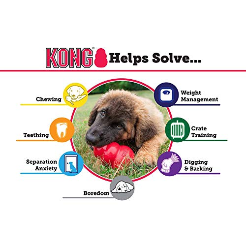 KONG Extreme Dog Pet Toy Dental Chew (2 Pack), Large, Large - 2 Pack, Black, Model:K1-2