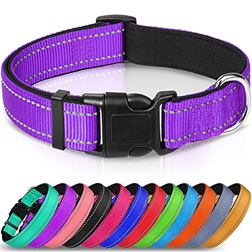 Joytale Reflective Dog Collar,Soft Neoprene Padded Breathable Nylon Pet Collar Adjustable for Medium Dogs,Purple,M
