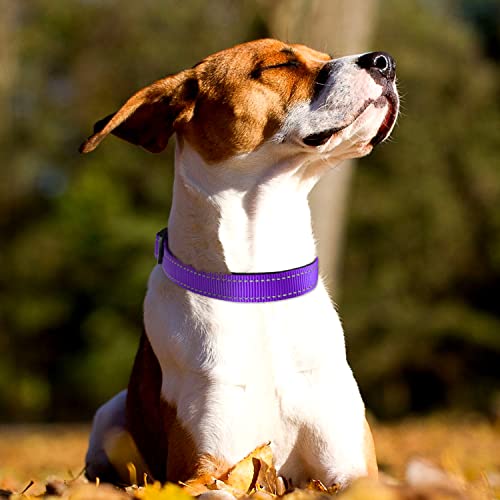 Joytale Reflective Dog Collar,Soft Neoprene Padded Breathable Nylon Pet Collar Adjustable for Medium Dogs,Purple,M
