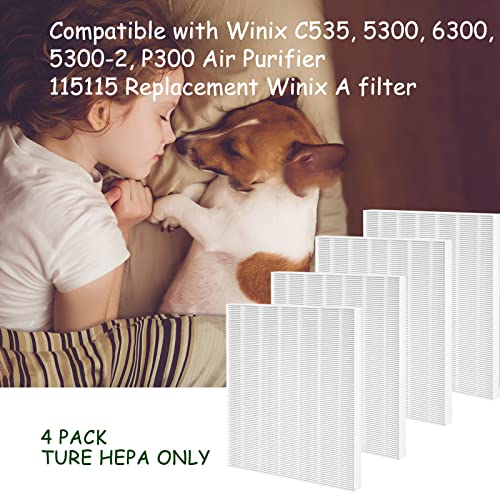 115115 Size 21 Replacement Filter A Compatible with Winix C535 C909, Winix PlasmaWave 5300, 6300, 5300-2, 6300-2, P300 Plasma wave Air Cleaner Purifier, True HEPA Filter Only 4 Pack