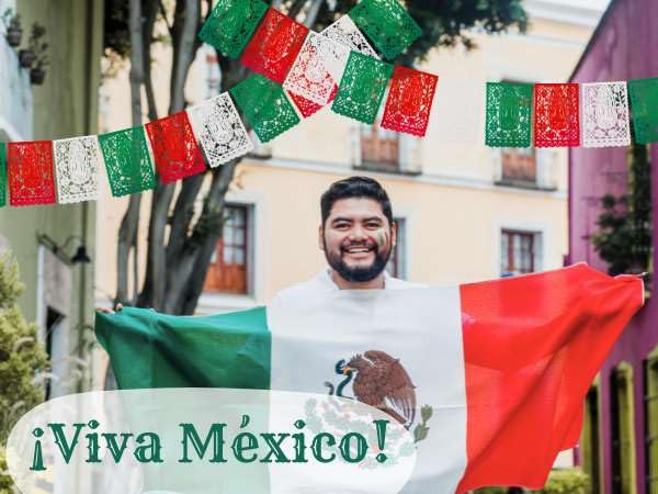 TexMex Fun Stuff - Mexican Banner Decorations, Mexican Party Decorations, Mexican Banner Papel Picado, Virgin of Guadalupe, Paper, 14 x 9 Inches per Flag, Set of 2