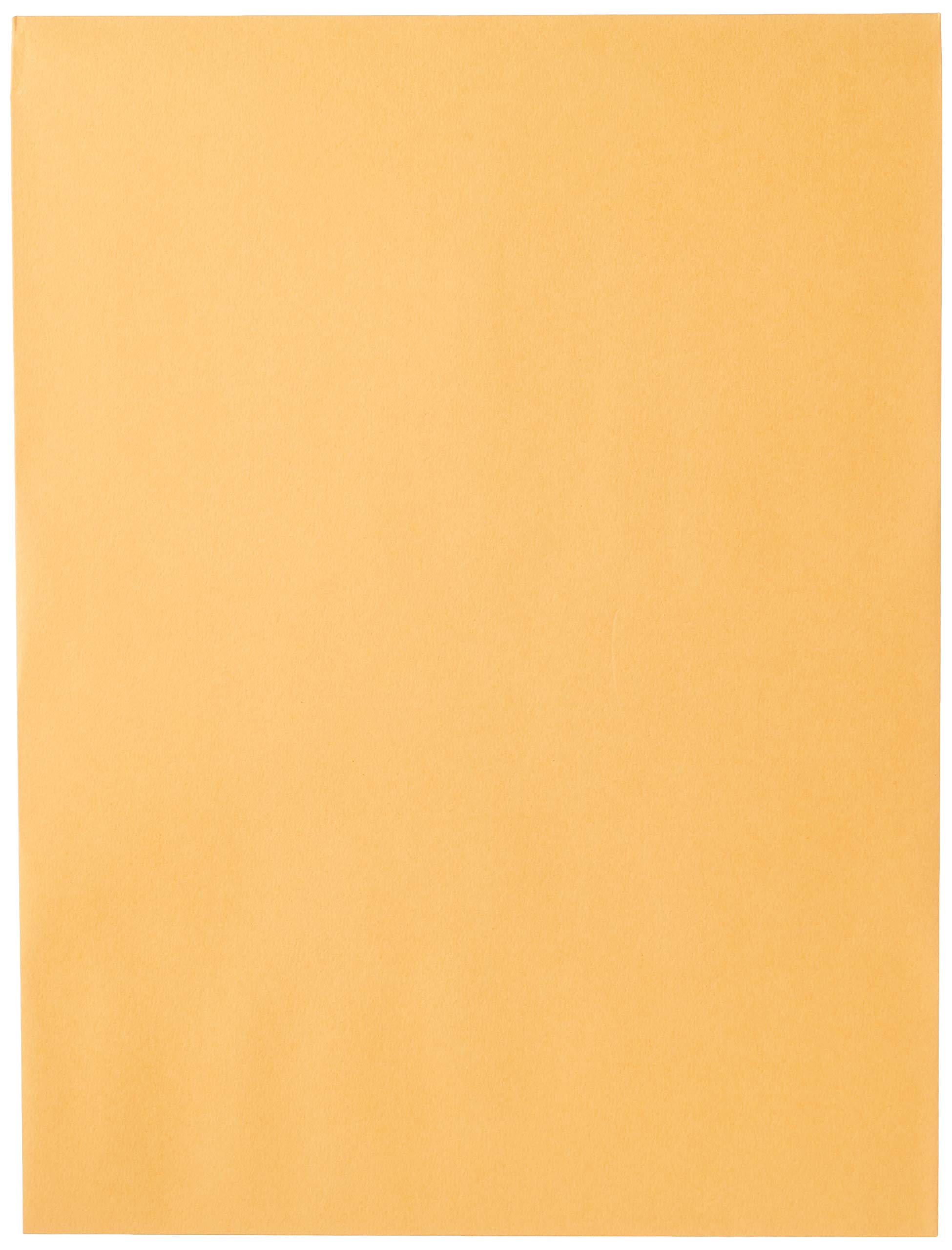 Mead Letter Size Mailing Envelopes, Clasp Closure, All-Purpose 32-lb Paper, 9" X 12", Brown Kraft Material, 100/Pack (CO790)