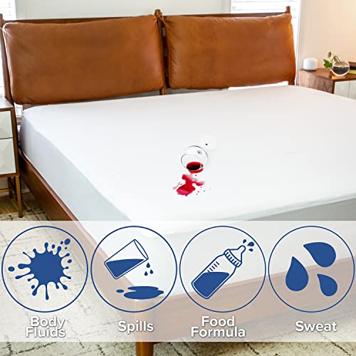 Flash Furniture Capri Comfortable Sleep Premium Fitted Waterproof, Vinyl Free Mattress Protector - Comfortable, Breathable, Quiet, Quilted Fabric Protection - Queen ,White