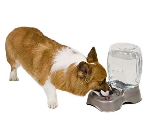 Petmate Pet Cafe Waterer Cat and Dog Water Dispenser 4 Sizes, Pearl White