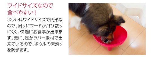 Petmate 23565 5-Cup Studio Scoop Dog Dish, Large, Hibiscus
